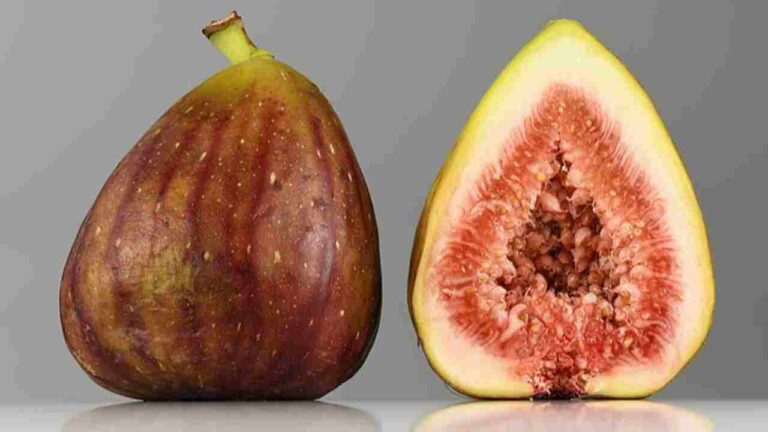 अंजीर खाण्याचे फायदे व तोटे - Anjeer health benefits in Marathi